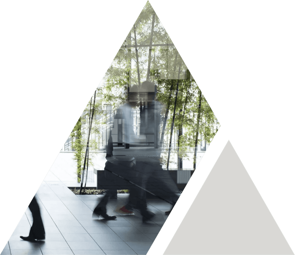 Adaptis Gmbh | Technology, Platforms, Quality